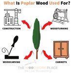 Poplar Wood vs Pine (5 Things You Need To Consider)