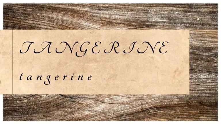 7 Best Free Cricut Fonts For Fantastic Wood Signs