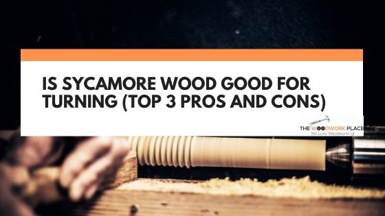 Is Sycamore Wood Good For Turning (Top 3 Pros And Cons)