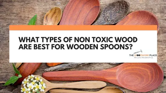 What Types Of Non Toxic Wood Are Best For Wooden Spoons?