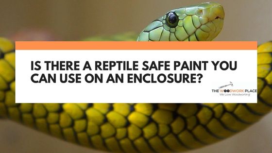 Is There A Reptile Safe Paint You Can Use On An Enclosure?