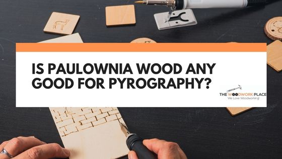 Is Paulownia Wood Any Good For Pyrography? | The Woodwork Place